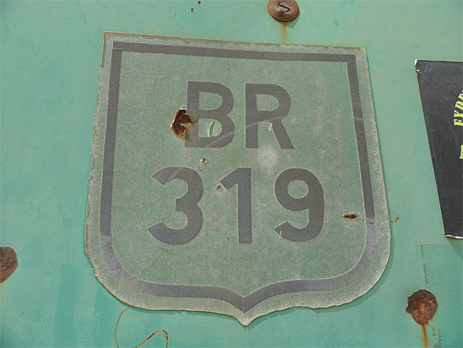 BR-319: rumo à realidade - ((o))eco