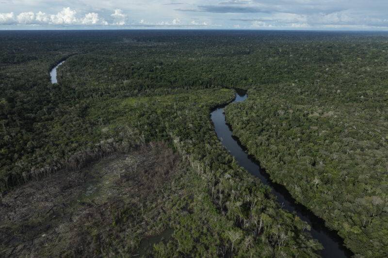 Brasil reduz desmatamento em 2025, mas Cerrado ainda concentra perdas ...