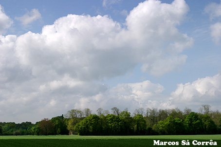 Como aprendemos a andar no mato - ((o))eco